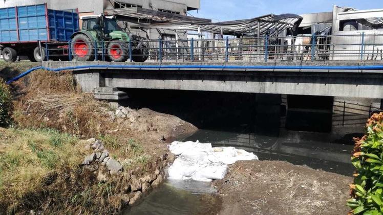 Incendio alla Isello Il fiume torna pulito Ordinanza revocata | G. di ... Incendio alla Isello Il fiume torna pulito Ordinanza revocata | G. di ...